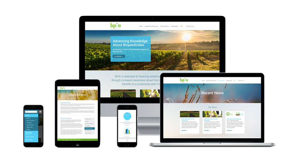 Meister Custom - Market Driven Solutions to Grow Your Business